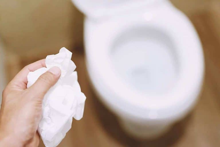 Will Toilet Paper Dissolve In Clogged Toilet will-toilet-paper-dissolve-in-clogged-toilet