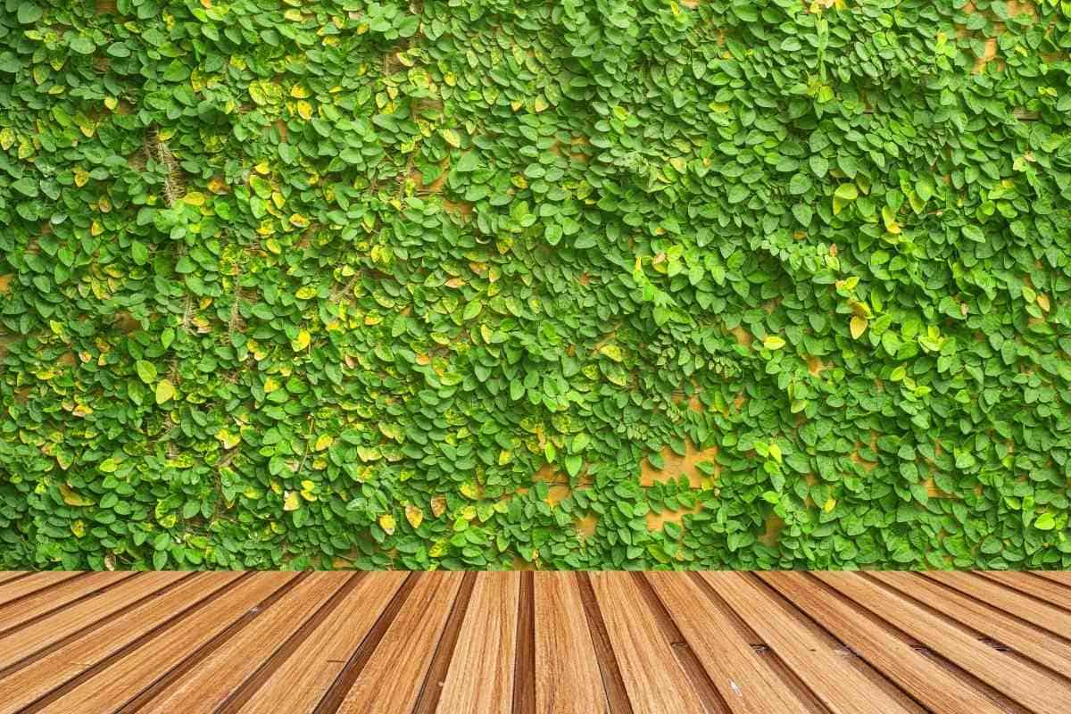 Top 35 Above Ground Pool Landscaping Ideas (With Photos)