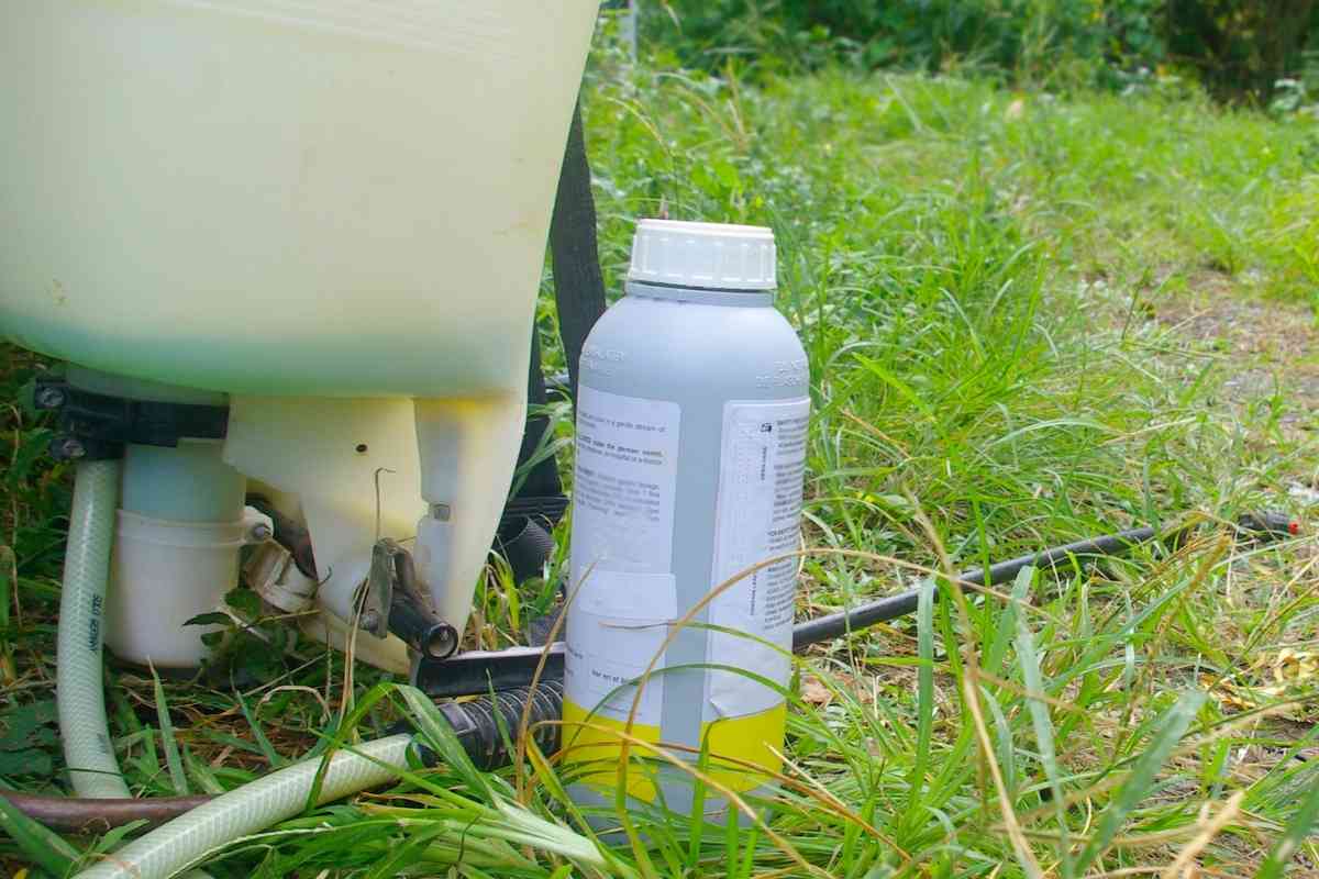 How To Clear a Yard Full Of Weeds (6 Practical Steps)