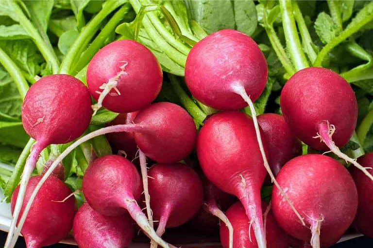 Top 7 Vegetables That Grow In Sandy Soil (With Photos)