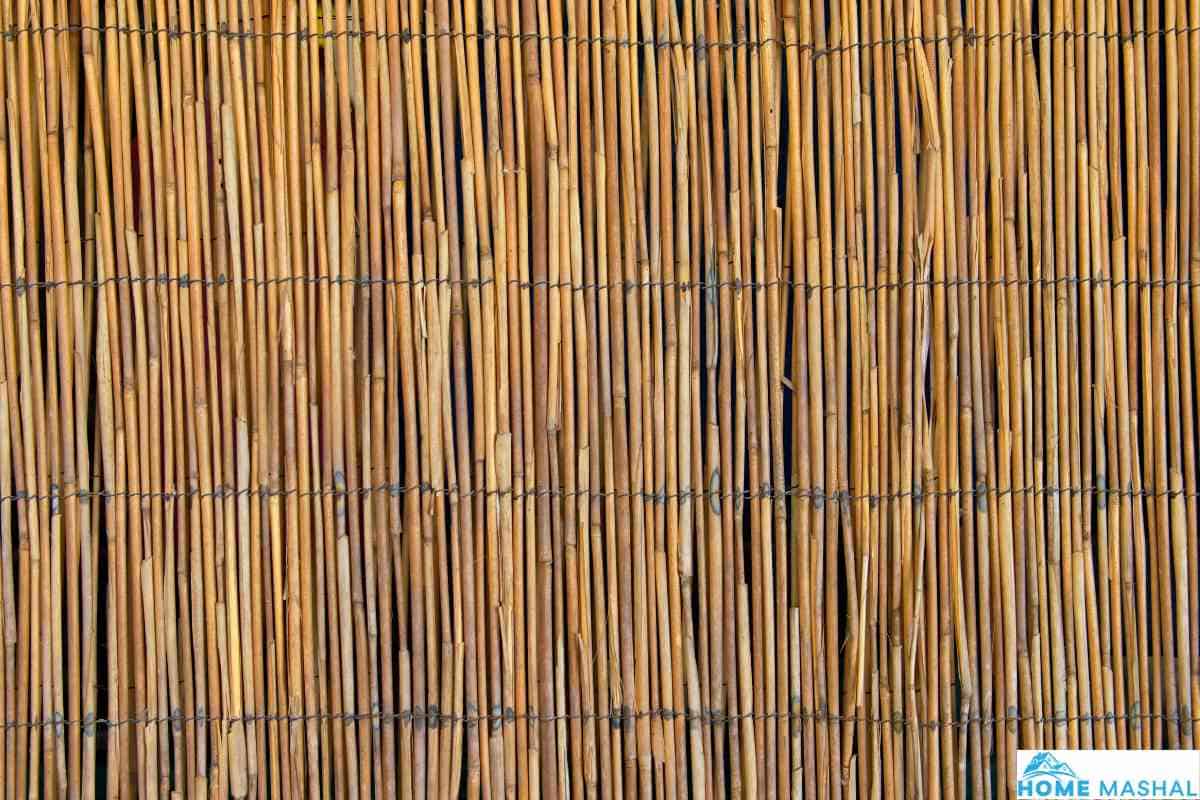 Top 17 Inexpensive Backyard Privacy Ideas (With Photos)