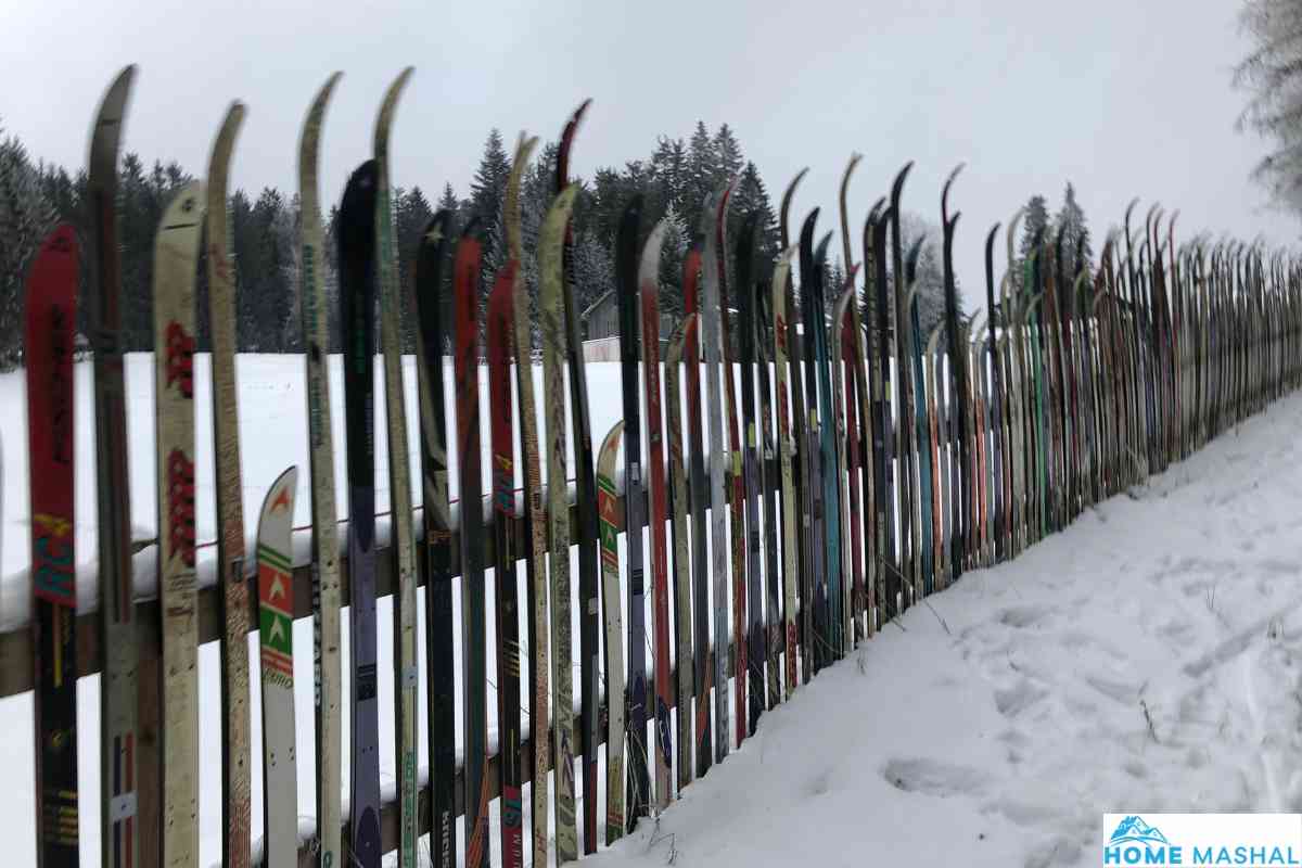 Top 17 Inexpensive Backyard Privacy Ideas (With Photos)