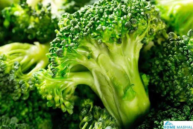 4 Different Broccoli Growth Stages (Explained)