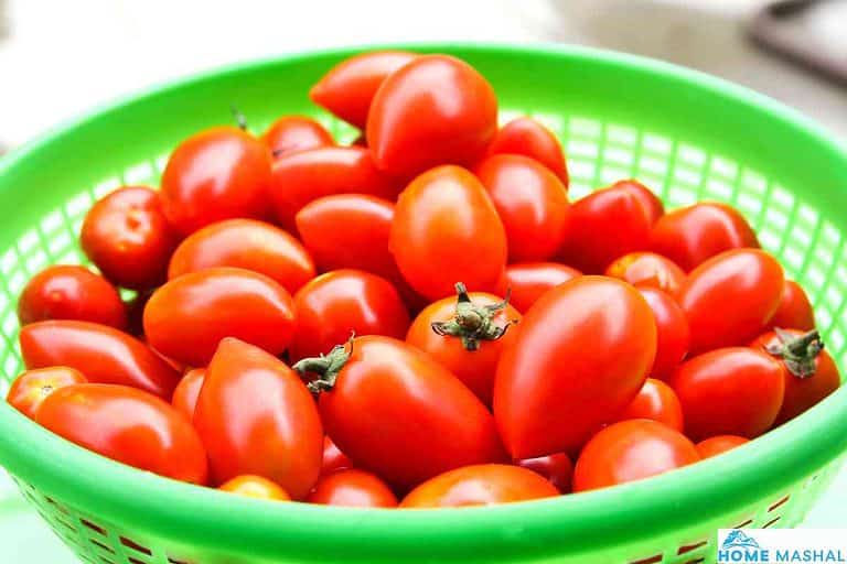 10 Different Types Of Cherry Tomatoes (With Photos)