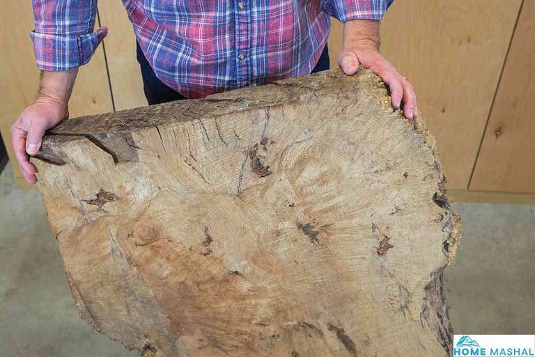 13 Types Of Woods For Woodworking (+ Their Uses)