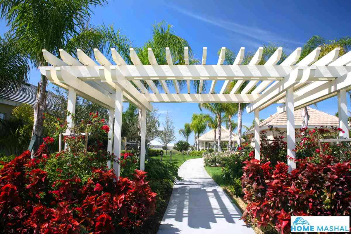 Top 7 Townhouse Patio Privacy Ideas (With Photos)