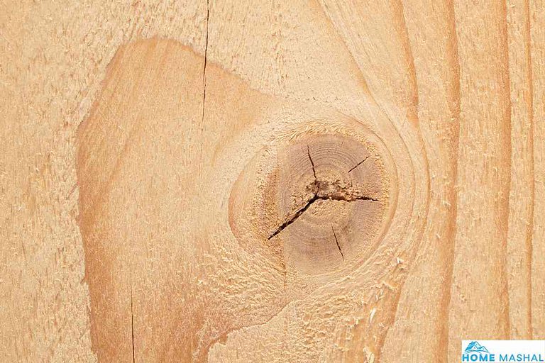 13 Types Of Woods For Woodworking (+ Their Uses)