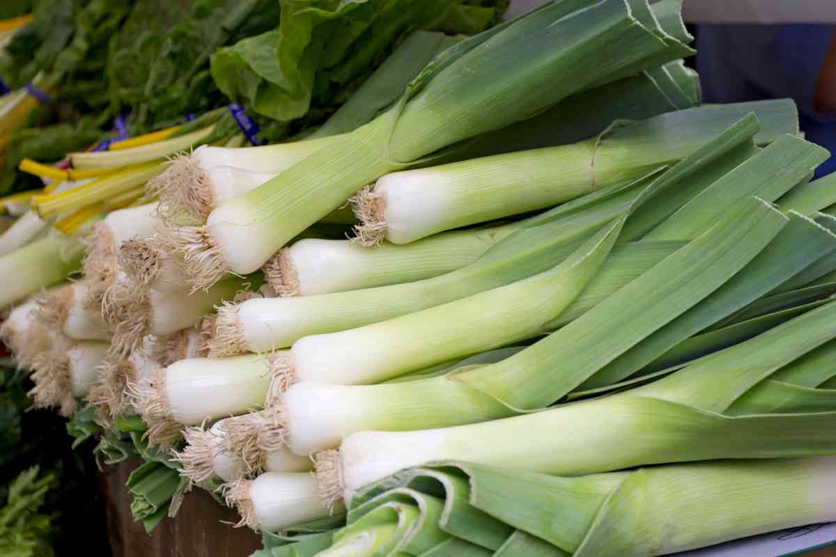 Top 15 Fruits And Vegetables That Grow In The Shade