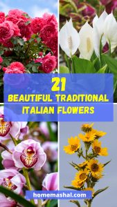 21 Beautiful Traditional Italian Flowers (+ Image)